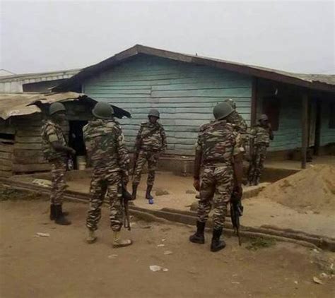 Mass Arrests In Fako Amidst Rumoured Amba Elite Force Presence Baretanews