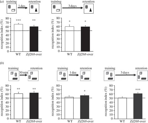 Figure 2 From Zif268egr1 Gain Of Function Facilitates Hippocampal