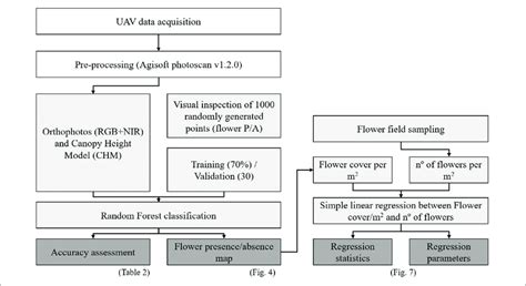 Flowchart Of The Process Developed To Evaluate Both Flower Cover And Download Scientific