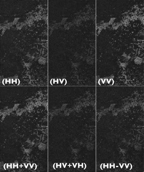 Coherence Of Three Polarization Components Download Scientific Diagram