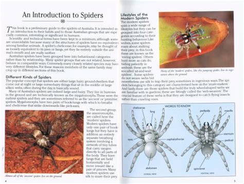 Green Guide Spiders Of Australia Nokomis