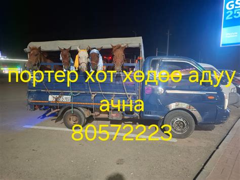 Адуу малын арилжаа наймаа 2025 Facebook