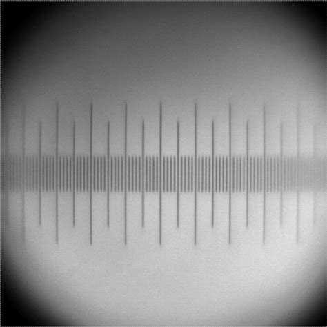 In Vivoイメージング＆オプトジェネティクスシステム T Scope V4