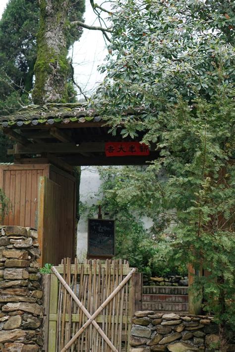 Tab组件滑动效果实现 知乎