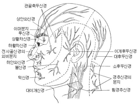 귀 통증 귀 귓바퀴 염증 습진 만성 피부질환 네이버 블로그