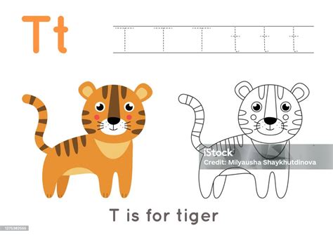 문자 T와 귀여운 만화 호랑이와 색칠 및 추적 페이지 0명에 대한 스톡 벡터 아트 및 기타 이미지 0명 교습 교육