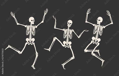 Happy Skeletons 5590811 Clipart Library