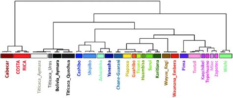 Finestructure Hierarchical Clustering Dendrogram Calculated Between