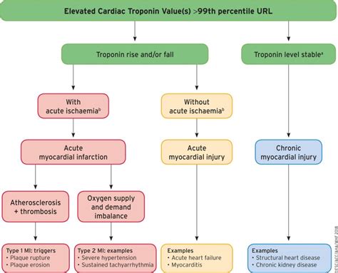 Nstemi Treatment Should We Always Follow The Guidelines Abstract Europe Pmc