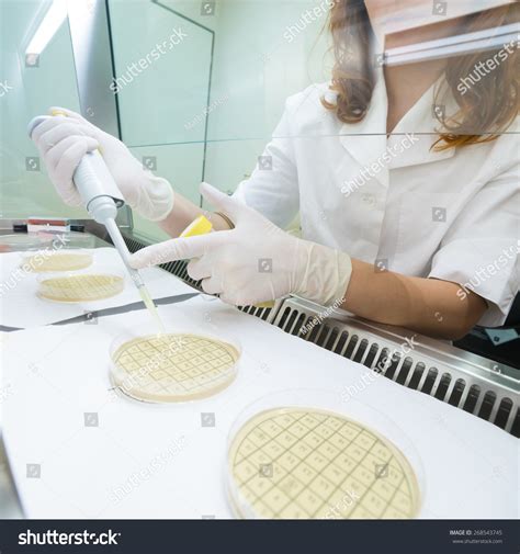 Bacteria Growing In Flask Royalty Free Images Stock Photos Pictures Shutterstock