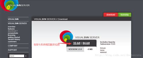 Svn服务器搭建教程 Csdn博客