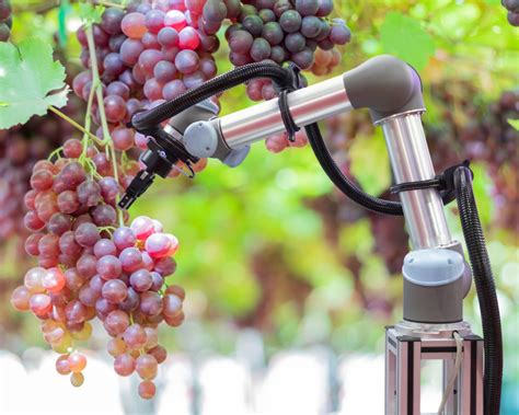 Air Compressor Soft Touch That Makes Pneumatics So Valuable