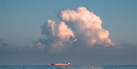 Oracle Cloud Native And Oracle Application Express Insum