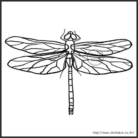 아동미술 잠자리 그리기 가을을 알리는 고추잠자리 네이버 블로그