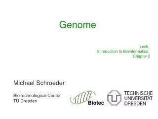 PPT Genome Organization PowerPoint Presentation Free Download ID