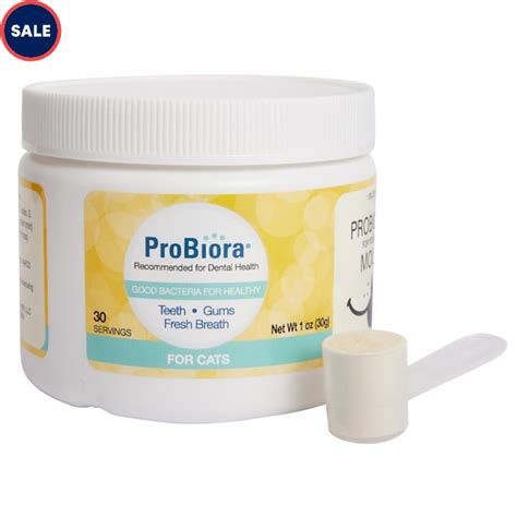 Probiora Probiotics For Your Cats Mouth Good Bacteria For Healthy