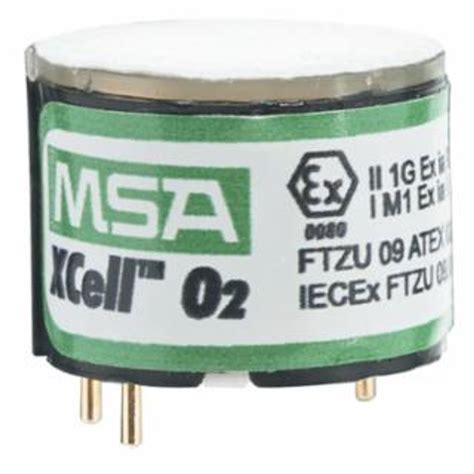 Msa Kit Xcell Co H2s Two Tox Sensor Ims Bolt