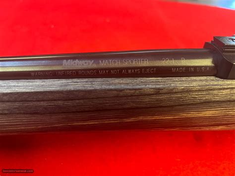 Custom Ruger 10 22 Target Shooting