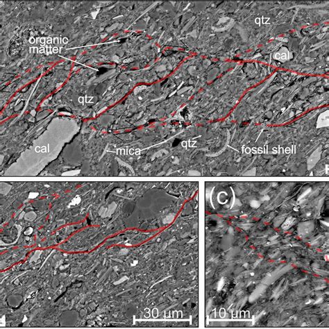 Bib Sem Micrographs Showing A Zone Of Increased Porosity Panels A