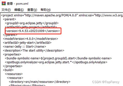 【opengis】geoserver升级jetty，不修改java版本 Csdn博客