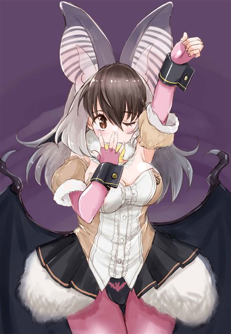 Brown Long Eared Bat Kemono Friends Danbooru