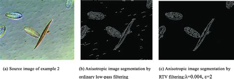 Example 2 Of Comparison Of Anisotropic Image Segmentation Between Rtv Download Scientific
