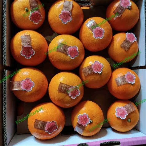 Jual Jeruk Mikam Sakura 5 Kg Gift Box Jakarta Barat SERBA BUAH JAKARTA Tokopedia