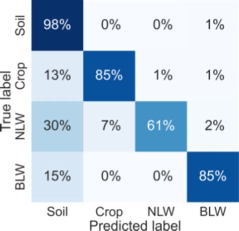 Cornweed Plants Detection Under Authentic Fields Based On Patching