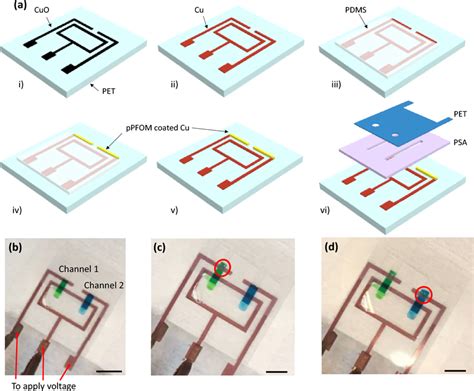 Microfluidic Device With Cu Electrowetting Valves A Schematic Showing Download Scientific