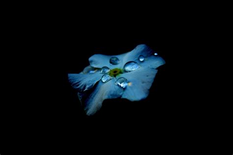 Top Oled 4k Wallpapers Wallpaper Cave