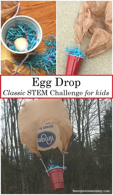 Egg Drop Challenge Worksheet Printable And Enjoyable Learning