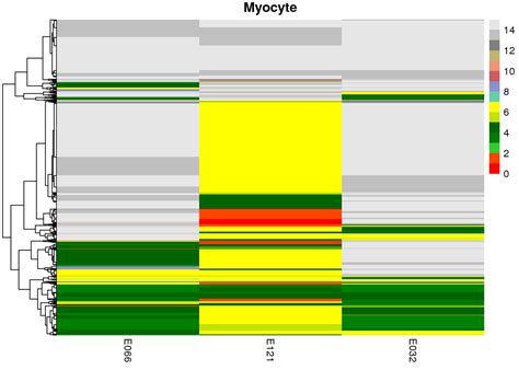 Chapter DiffBD Chromatin State Across Cells Function Of CTCF During Lineage Specification
