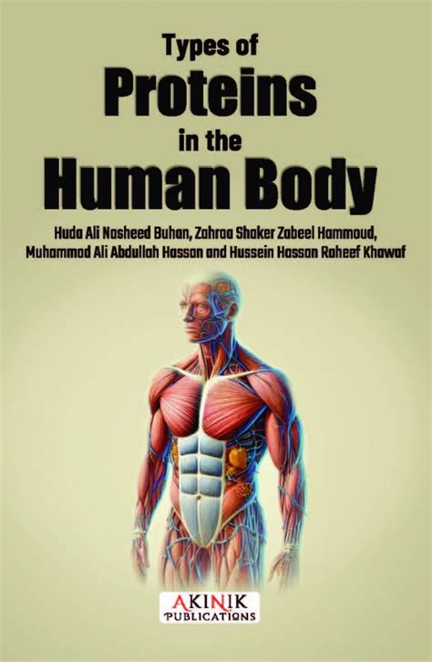 Types Of Proteins In The Human Body