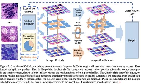 Github Sagiztycellmix Official Release Of Cellmix A General