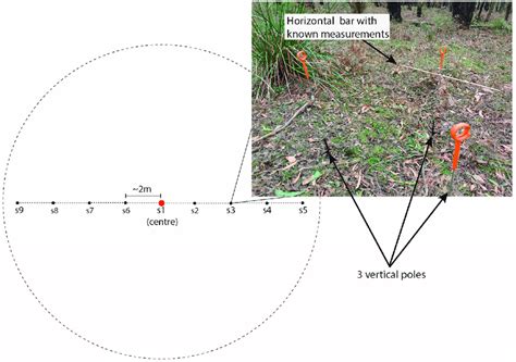 Diagram Of Transect And Plot Layout For Image Capture Showing The Download Scientific Diagram