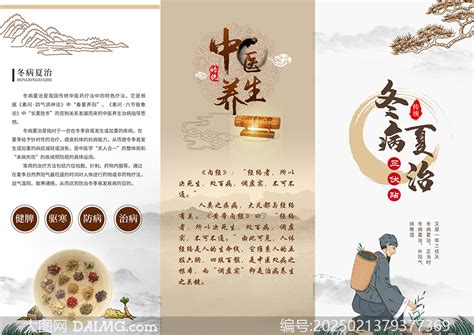 中国风中医养生冬病夏治折页PSD素材 大图网图片素材