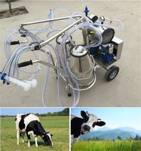 Factory Direct Cow Penis Milking Machine Efficient 10 12 Cowshour