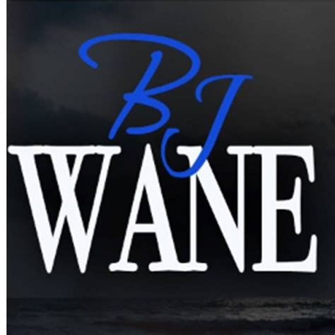 Bj Wane Learning Website Design Website Design Author