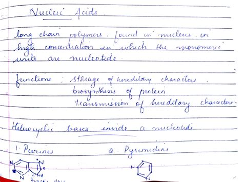 SOLUTION Nucleic Acids Protein Synthesis Short Notes Lecture Notes Studypool SOLUTION Nucleic Acids Protein Synthesis Short Notes Lecture Notes Studypool