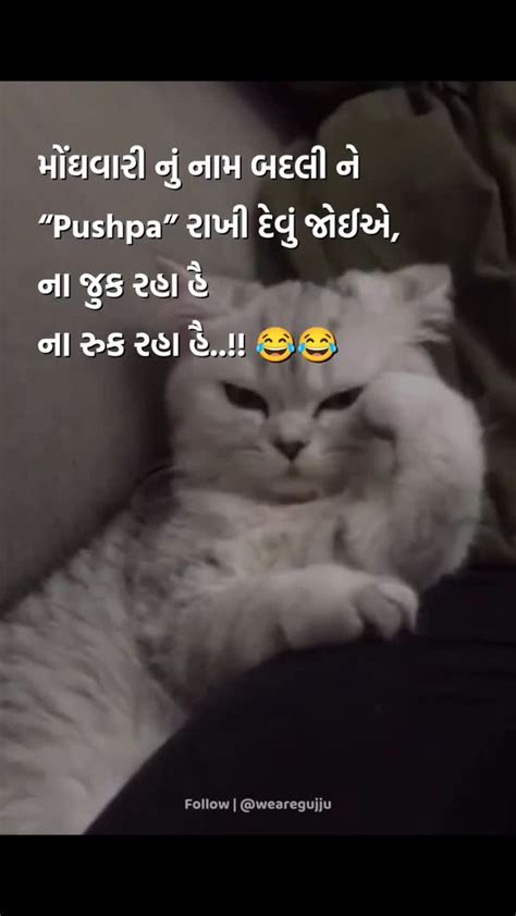 We Are Gujju Follow Our Page Wearegujju આવી અનેક Post અથવા Reel જોવા માંગો છો તો Follow કરી