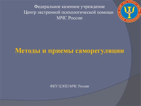 Методы и приемы саморегуляции Online Presentation