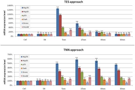 All Data Relative To Rt Qpcr Experiments Were Analyzed By Statistical Download Scientific