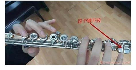 长笛好用的指法介绍 长笛指法 长笛学习网