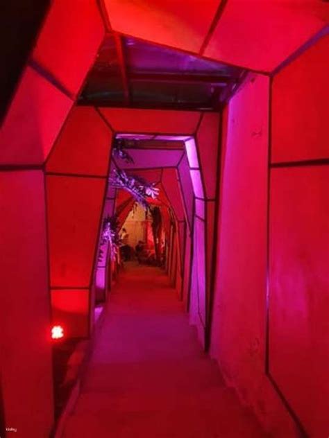 Tel Aviv Pub Crawl Night Tour Tickets July 2024
