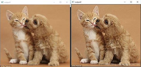 Opencv 图像处理(02、矩阵的掩膜操作)opencv图像与掩膜矩阵 Csdn博客 Opencv 图像处理(02、矩阵的掩膜操作)opencv图像与掩膜矩阵 Csdn博客