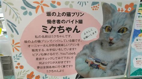 ちきちゃん On Twitter Sakanouenoneko1 お疲れ様です。 坂の上の猫プリン に行って来ました〜🍮 ミクちゃん