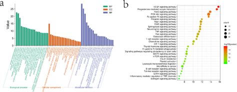 Network Enrichment Analysis A Go Functional Enrichment Analysis Of Download Scientific