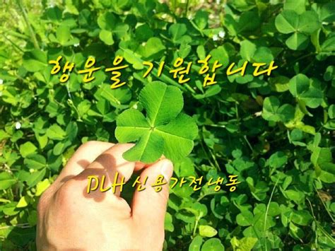 고양시 일산동구 풍동 숲속마을 1단지 솦속마을 1단지 삼성 인버터 스탠드 에어컨 설치 Dlh신용가전냉동 전문점 경기도 고양시 일산동구 중산동 비즈프로필