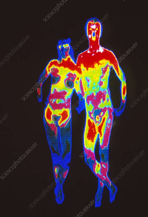 Coloured Thermogram Of A Naked Couple Stock Image P Science Photo Library