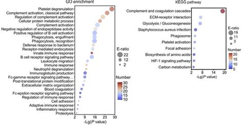 蛋白质组学数据分析和展示 知乎